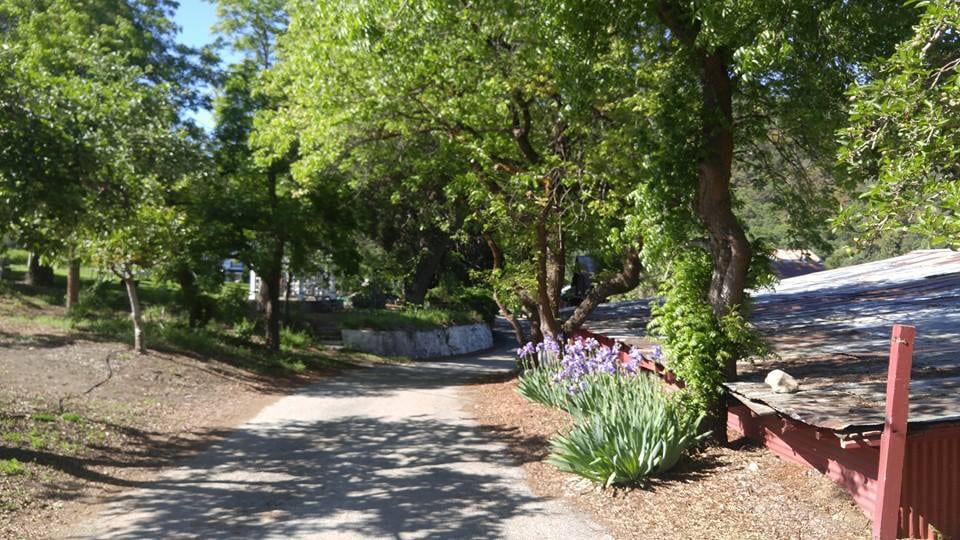 Snow-Line Orchard is a Winery in Oak Glen, CA
